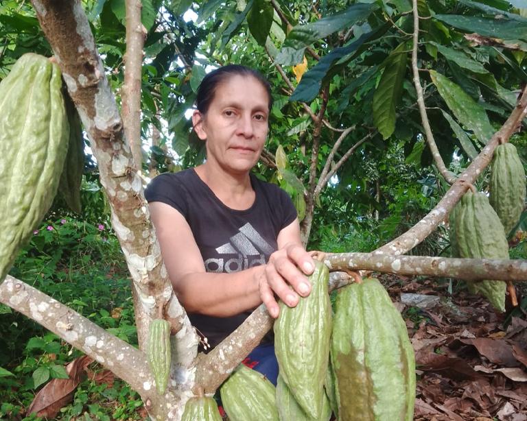 Home - Microfinanciera Pueblos en Acción Comunitaria